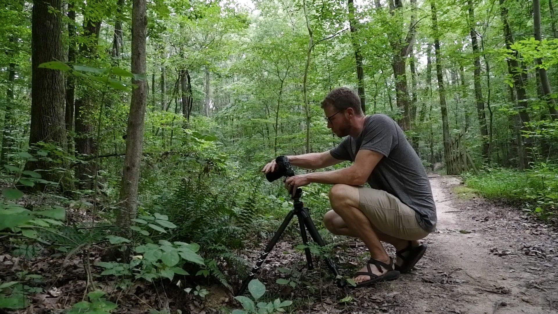 How to Photograph Dreamy Macro Small Scenes | Outdoor Photography Guide