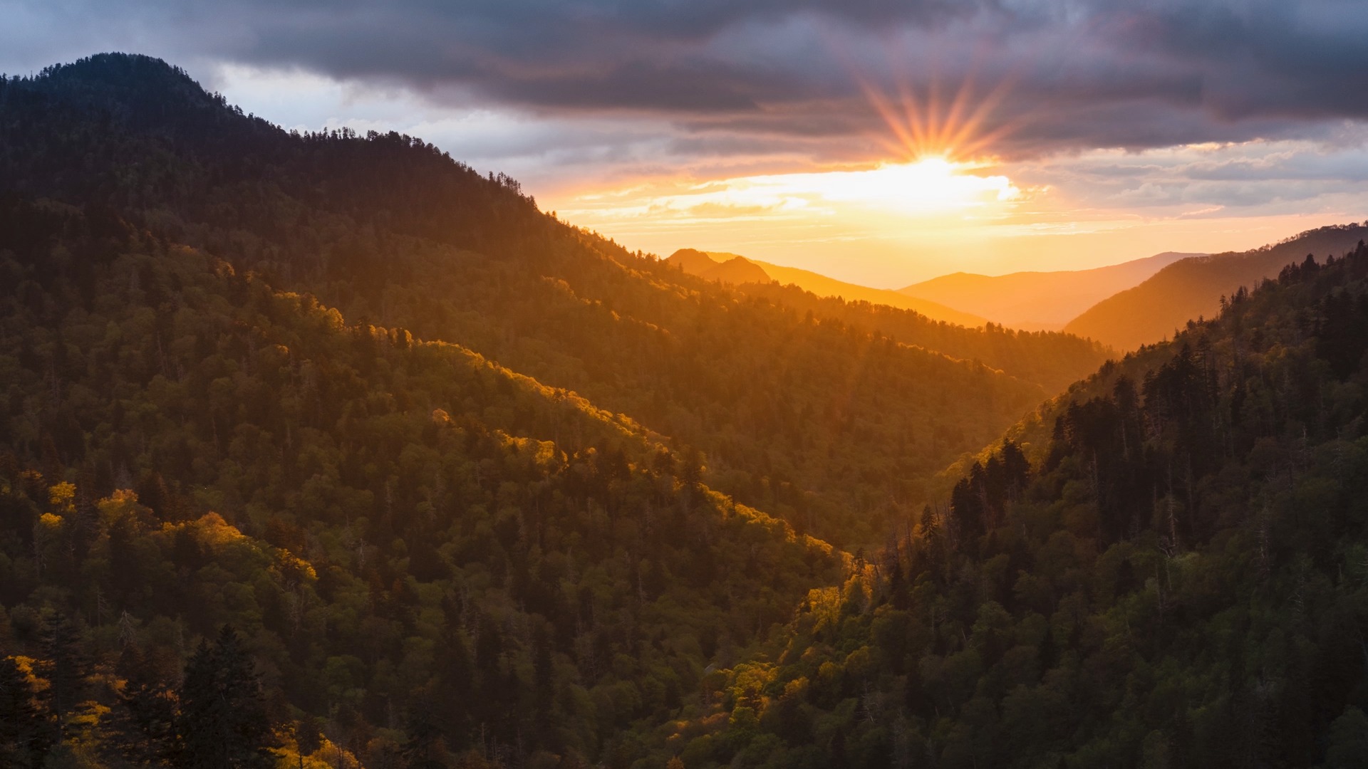 How to Create Sun Star Photography | Outdoor Photography Guide