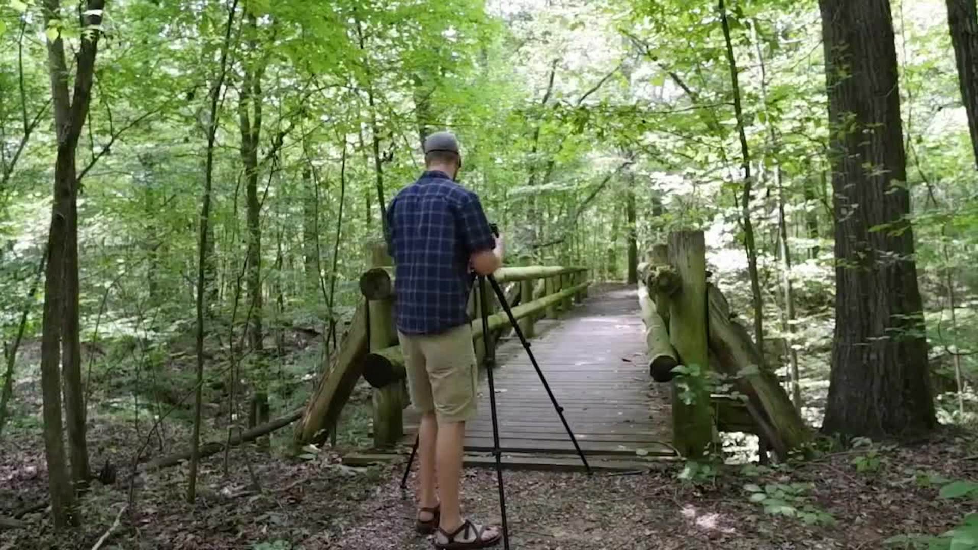 All About Hyperfocal Distance | Outdoor Photography Guide