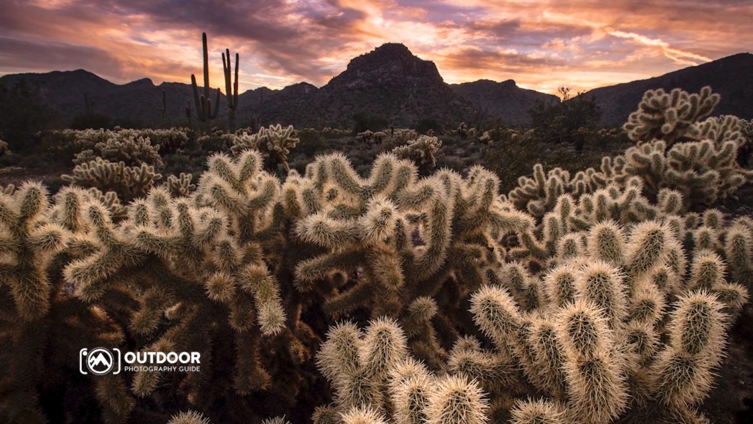 Free Videos | Outdoor Photography Guide