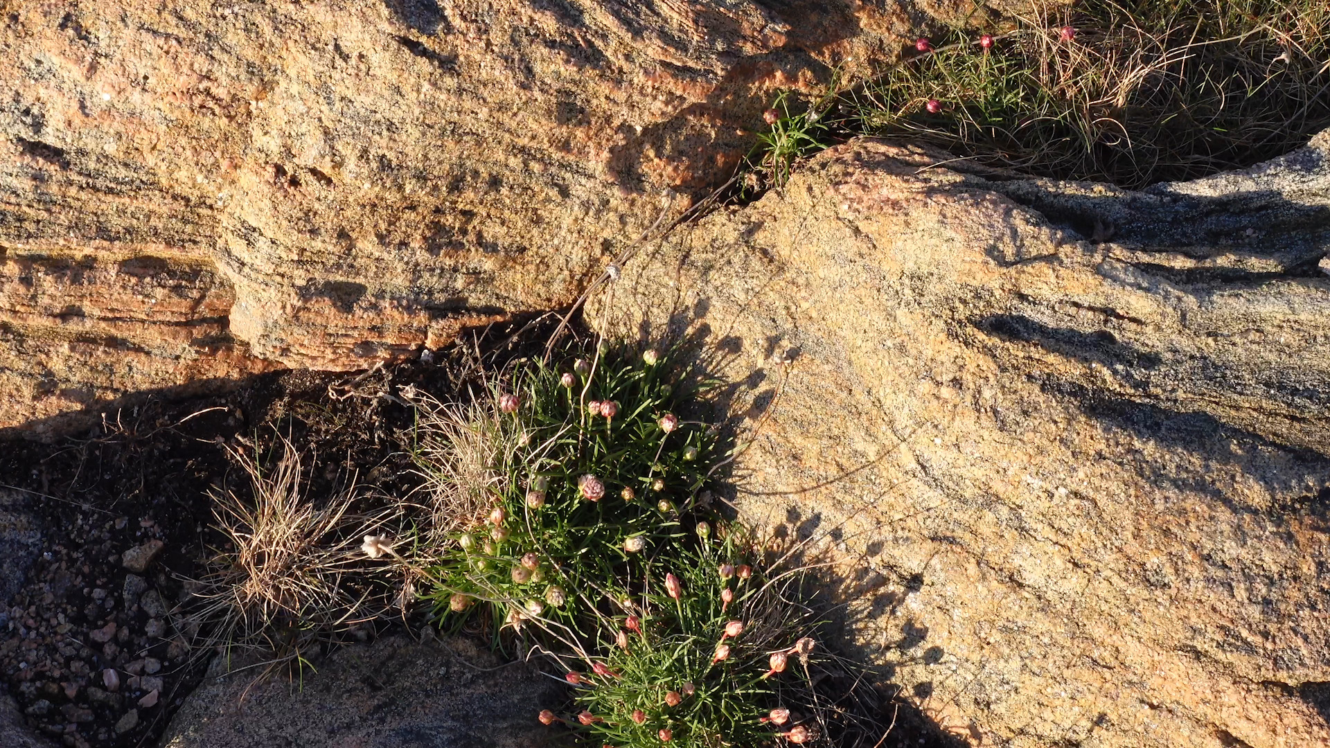 Shooting Textures | Outdoor Photography Guide