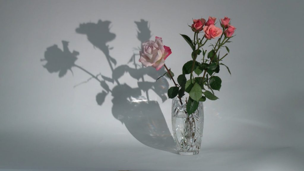 Photographing Flowers | Outdoor Photography Guide