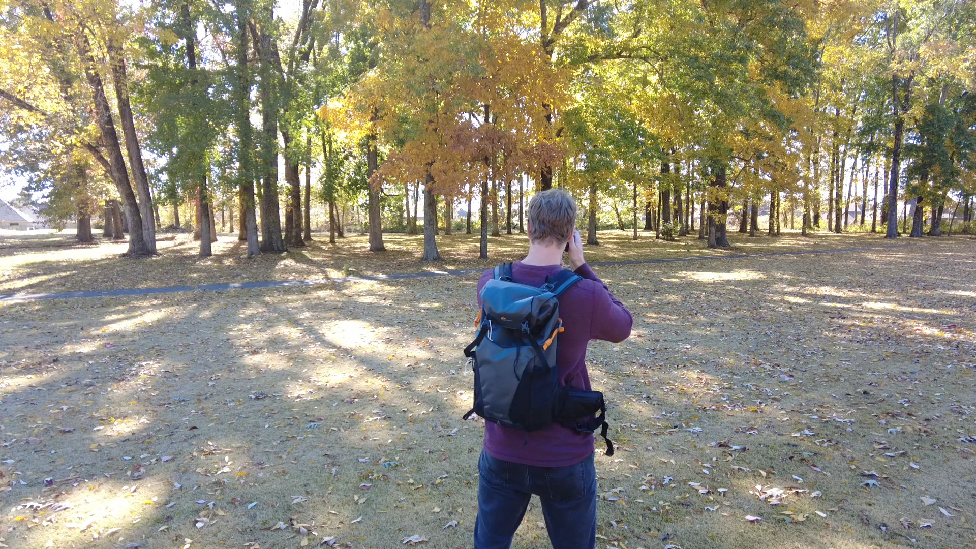 Two Most Common Mistakes With Forest Photography | OPG