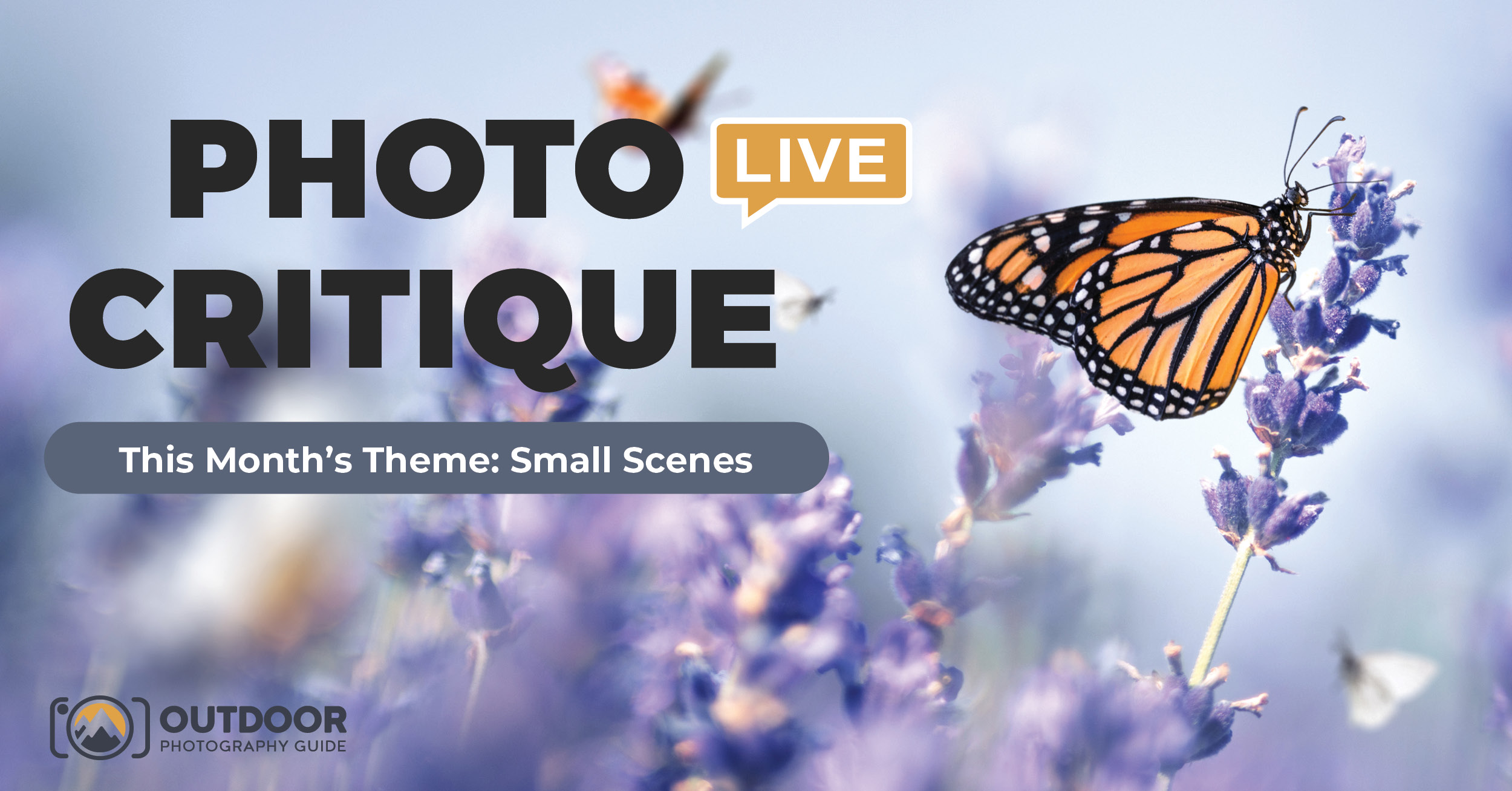 OPG Photo Critique: Small Scenes | Outdoor Photography Guide
