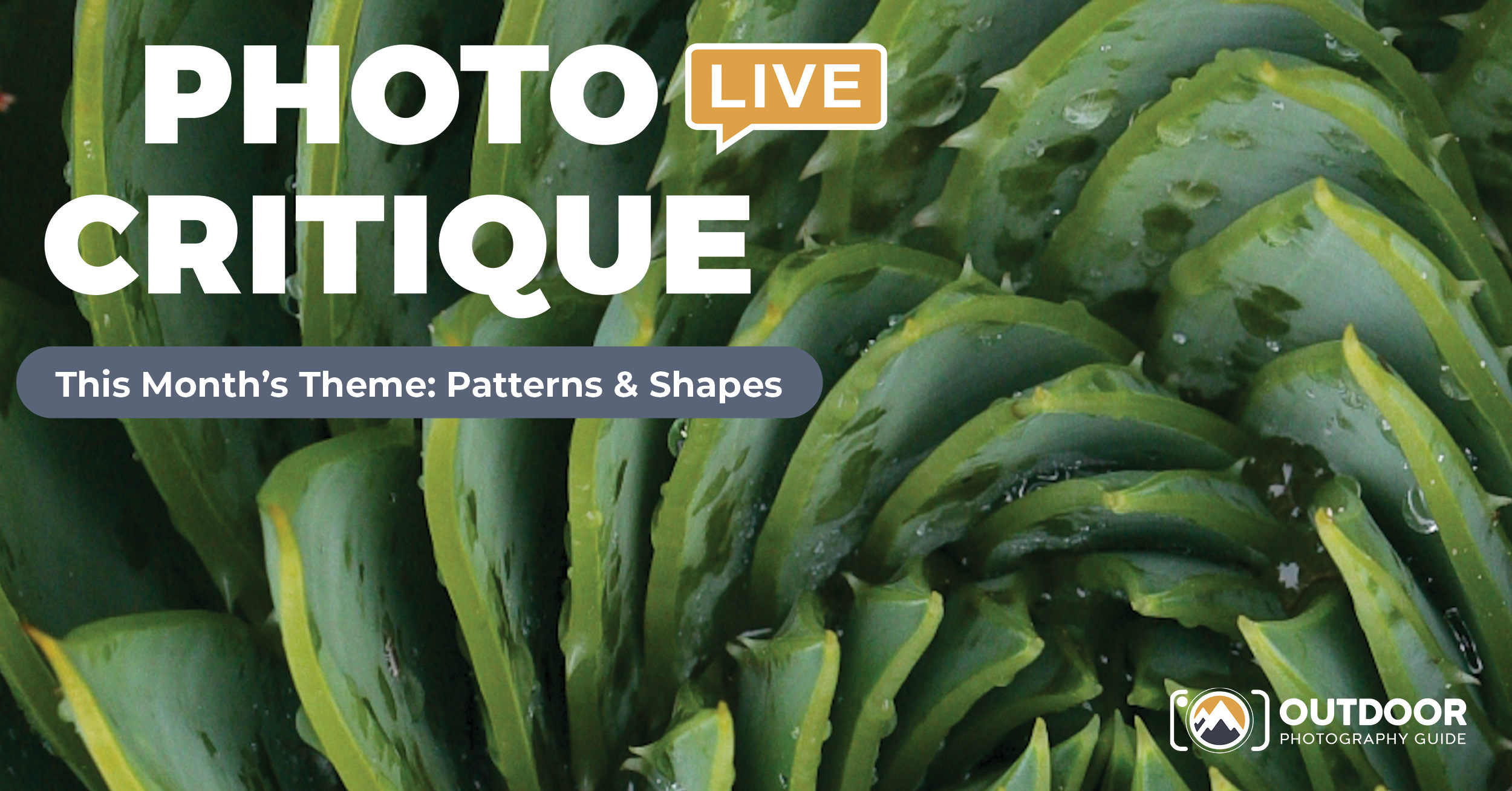 OPG Photo Critique: Patterns and Shapes | Outdoor Photography Guide