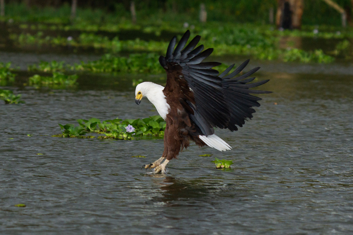 Adventure Photography: Lesson 3 - Capturing Dynamic Moments | Outdoor ...