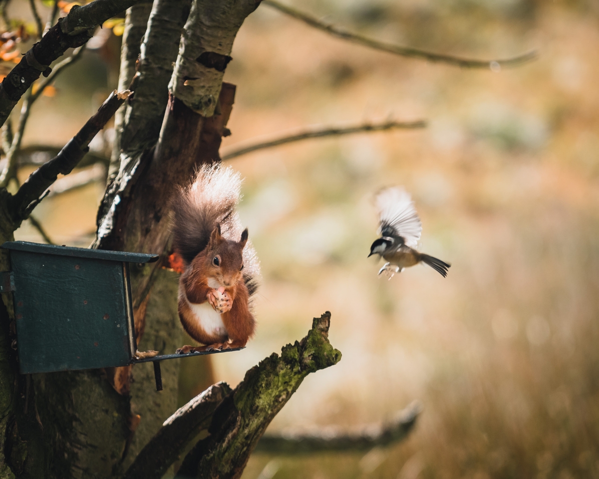 Mastering Telephoto Landscape Photography: Introduction | Outdoor ...