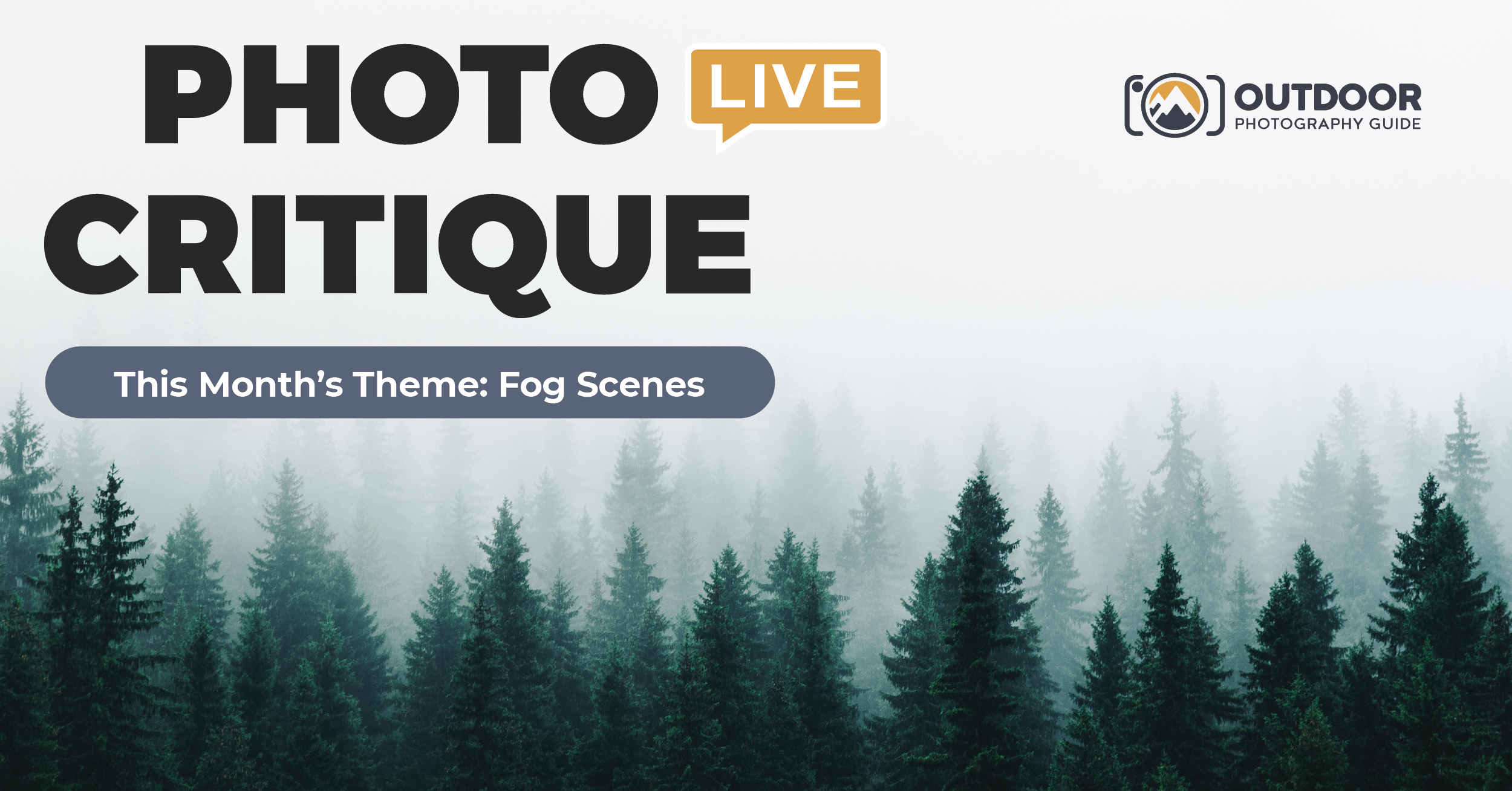 OPG Photo Critique: Fog Scenes | Outdoor Photography Guide
