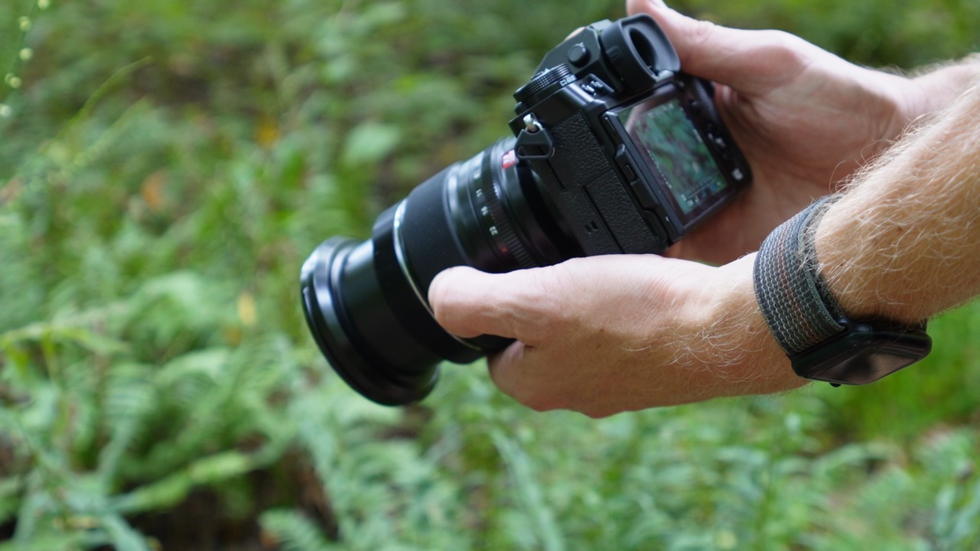 What to Look for in a New Camera | Outdoor Photography Guide
