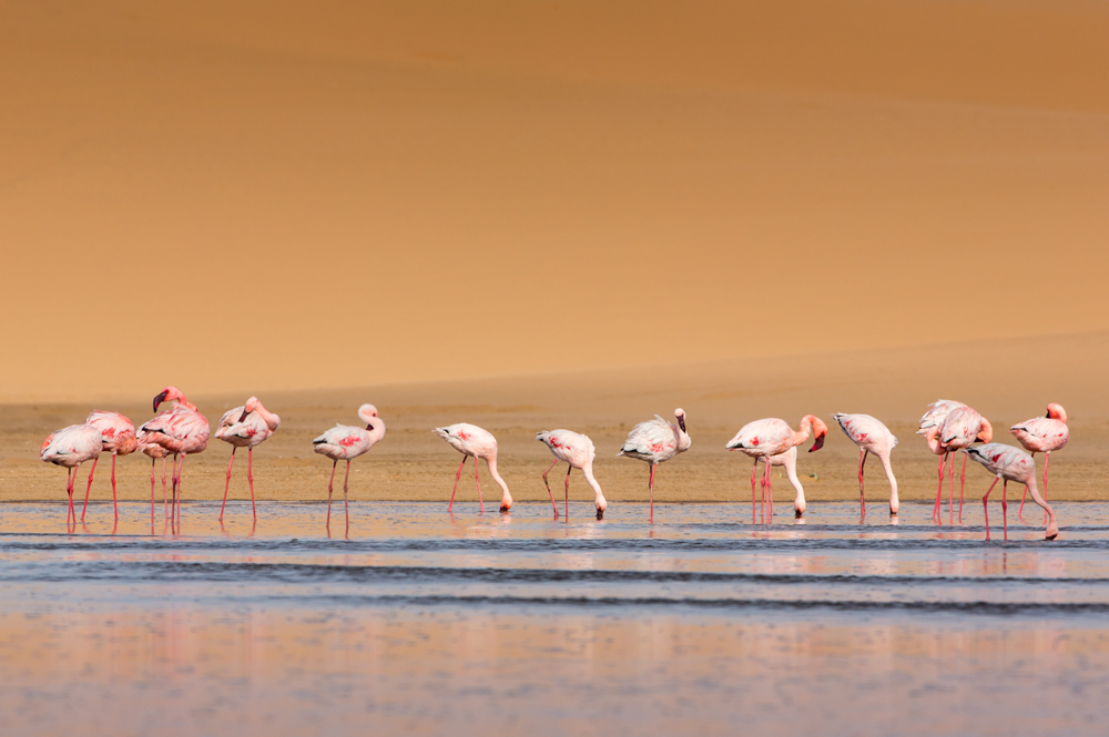 Photography Composition Tips: Finding Your Visual Flow | Outdoor ...