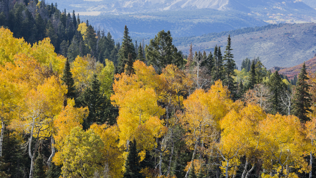 Shooting Creatively in Midday Light | OPG | www.outdoorphotographyguide.com