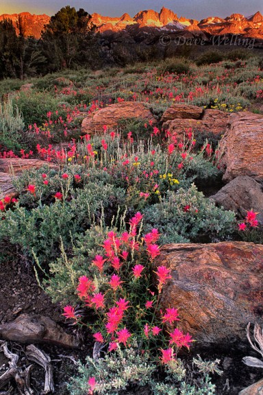 Using Different Lenses to Capture Different Perspectives | Outdoor ...