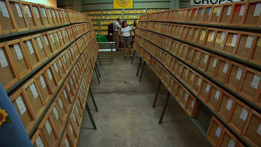 How to Use the Crop Tool the Right Way | OPG | www ...