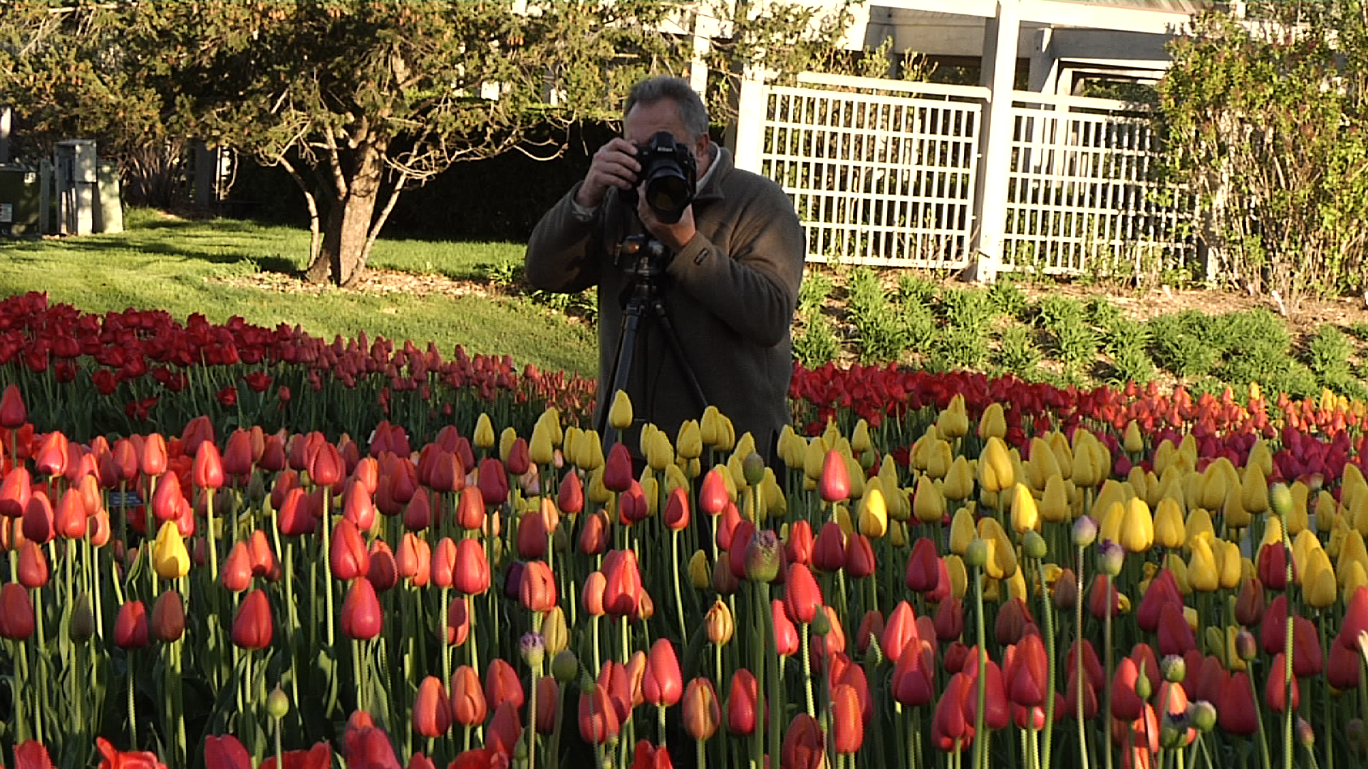 Planning for your Spring Photography Shoot | OPG Video | Outdoor ...
