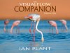 Visual Flow: Mastering the Art of Composition eBook | OPG | www ...