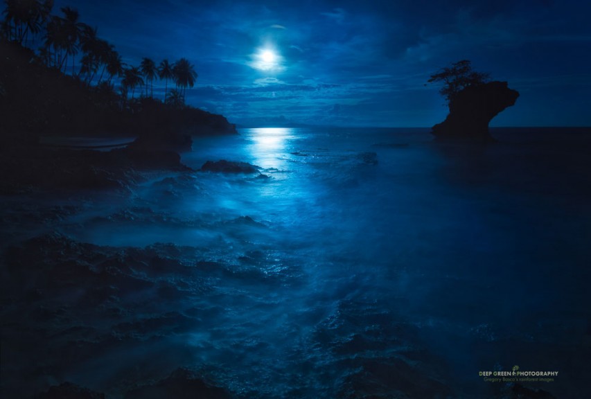 Meet the Photographer: Gregory Basco | OPG | Outdoor Photography Guide