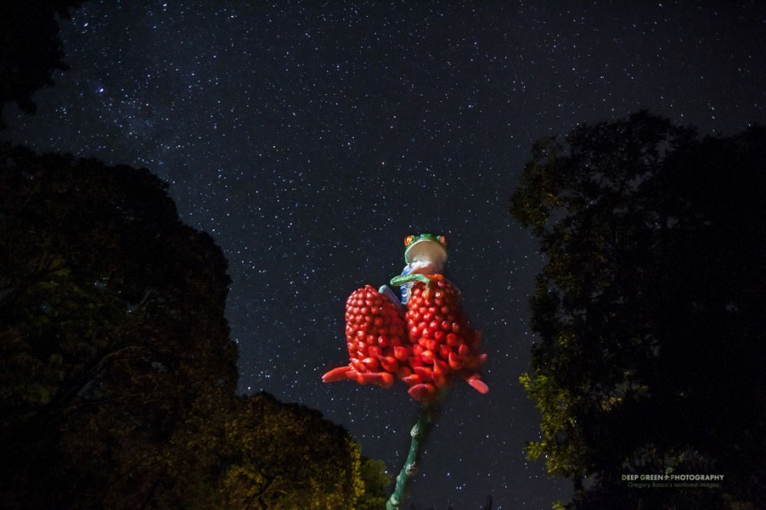 Meet the Photographer: Gregory Basco | OPG | Outdoor Photography Guide