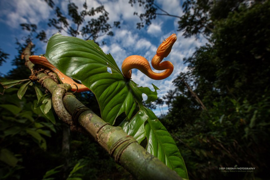 Meet the Photographer: Gregory Basco | OPG | Outdoor Photography Guide