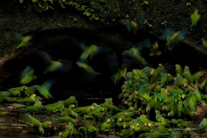 Meet the Photographer: Gregory Basco | OPG | Outdoor Photography Guide