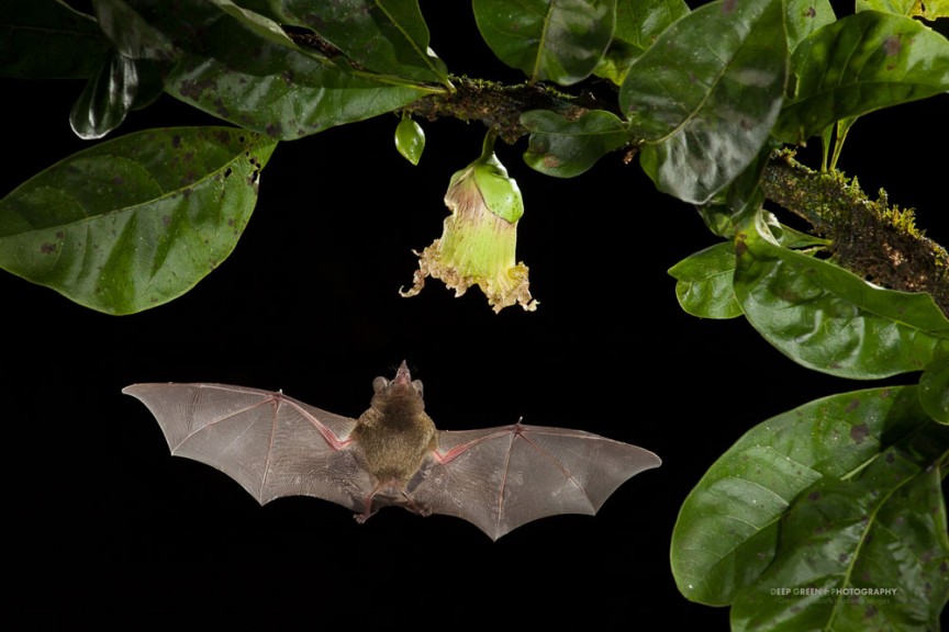 Meet the Photographer: Gregory Basco | OPG | Outdoor Photography Guide