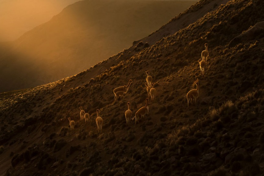 Meet the Photographer: Gregory Basco | OPG | Outdoor Photography Guide