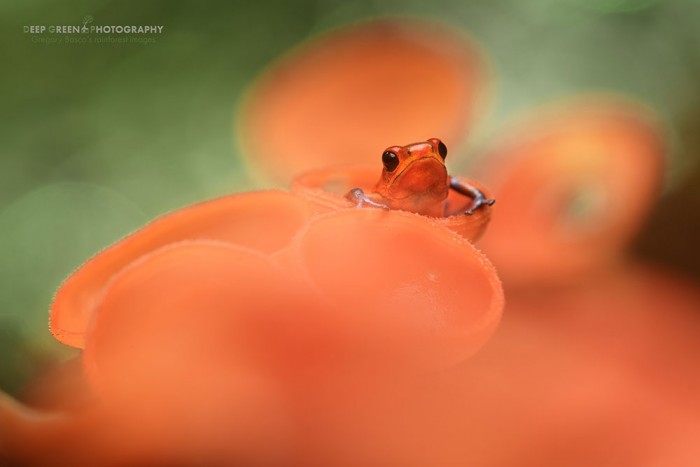 Meet the Photographer: Gregory Basco | OPG | Outdoor Photography Guide