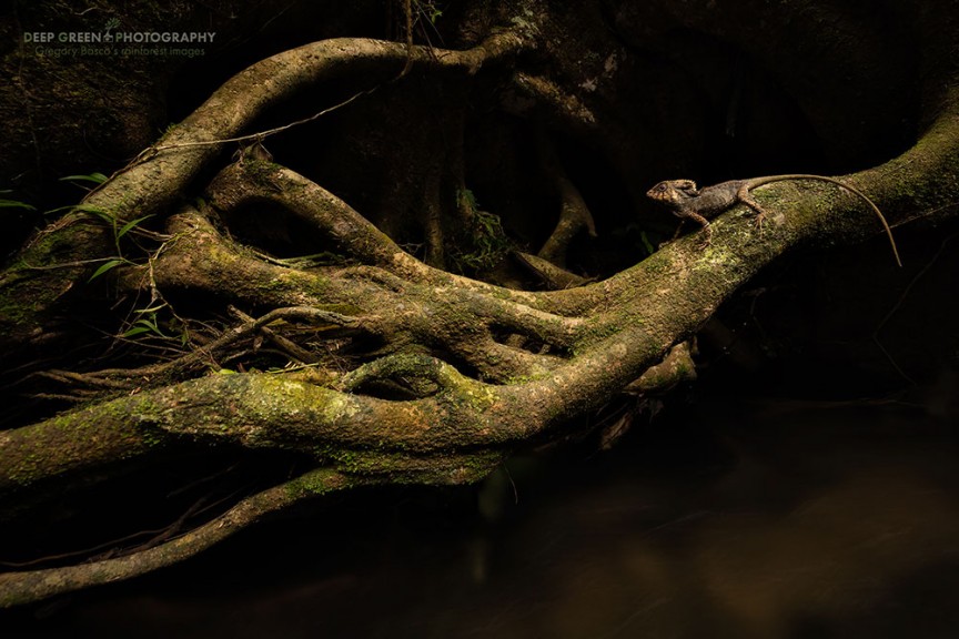Meet the Photographer: Gregory Basco | OPG | Outdoor Photography Guide