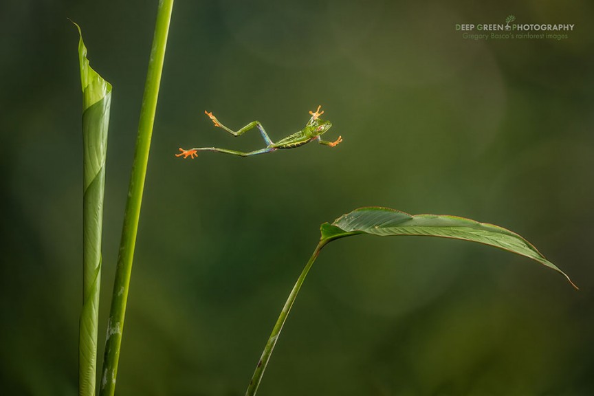 Meet the Photographer: Gregory Basco | OPG | Outdoor Photography Guide