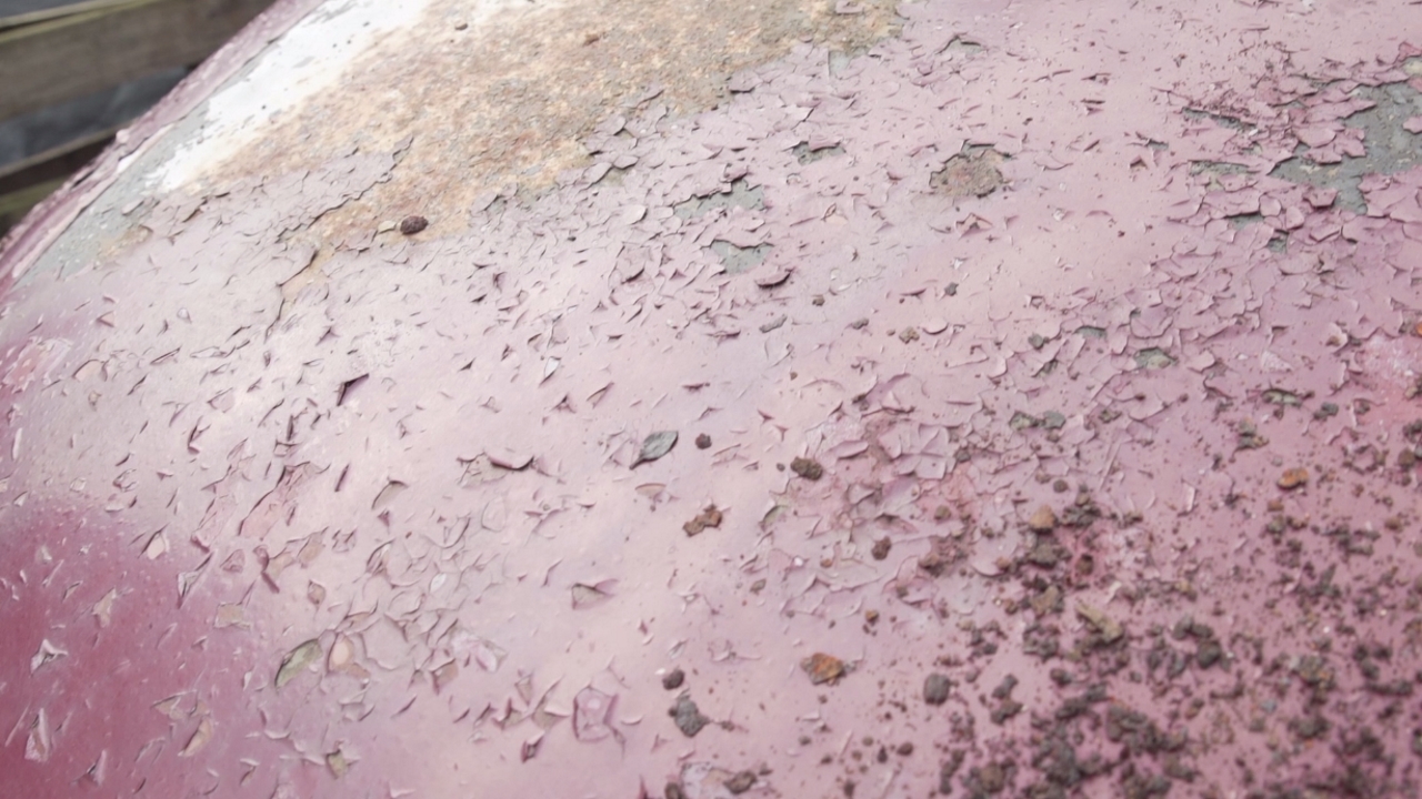 How to Identify and Treat Paint Faults in Existing Paintwork | Skill Shack