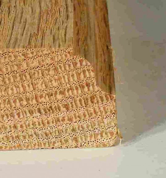 Seven Must-Have Router Bit Types for Router Projects | WoodWorkers ...