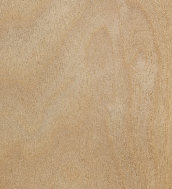 Commonly Used Woods | WoodWorkers Guild of America