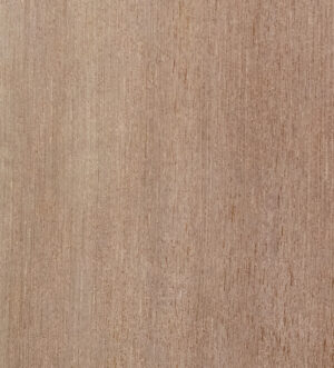 Commonly Used Woods | WoodWorkers Guild of America